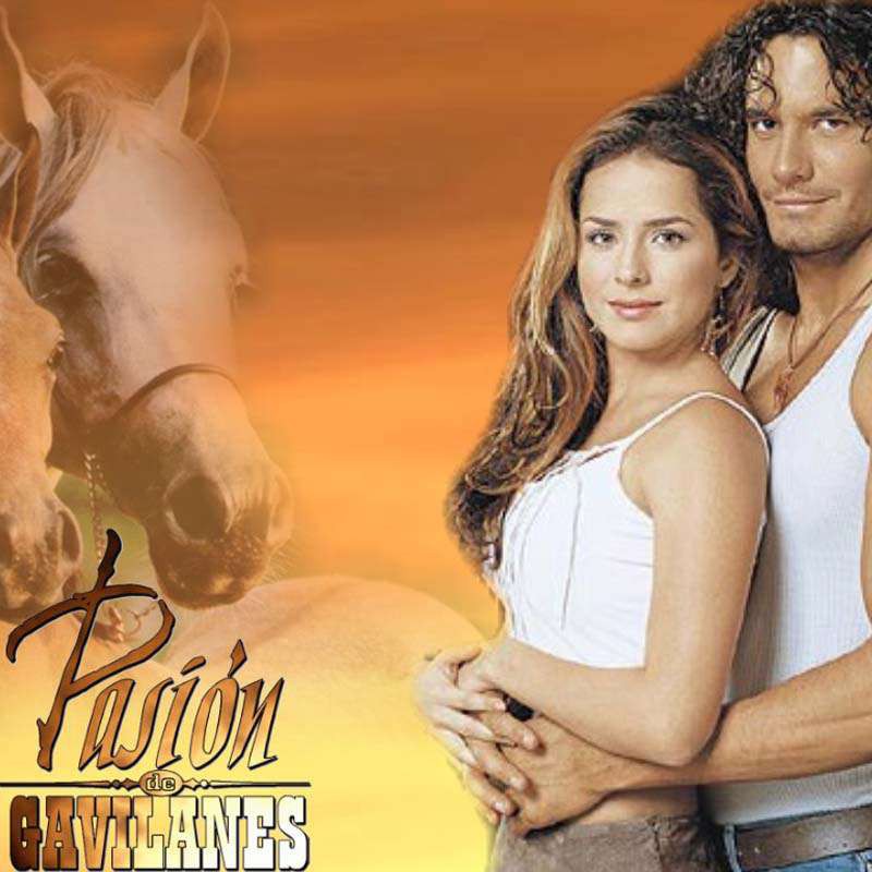 Comprar La Telenovela Pasión de gavilanes Completo en USB Y DVD